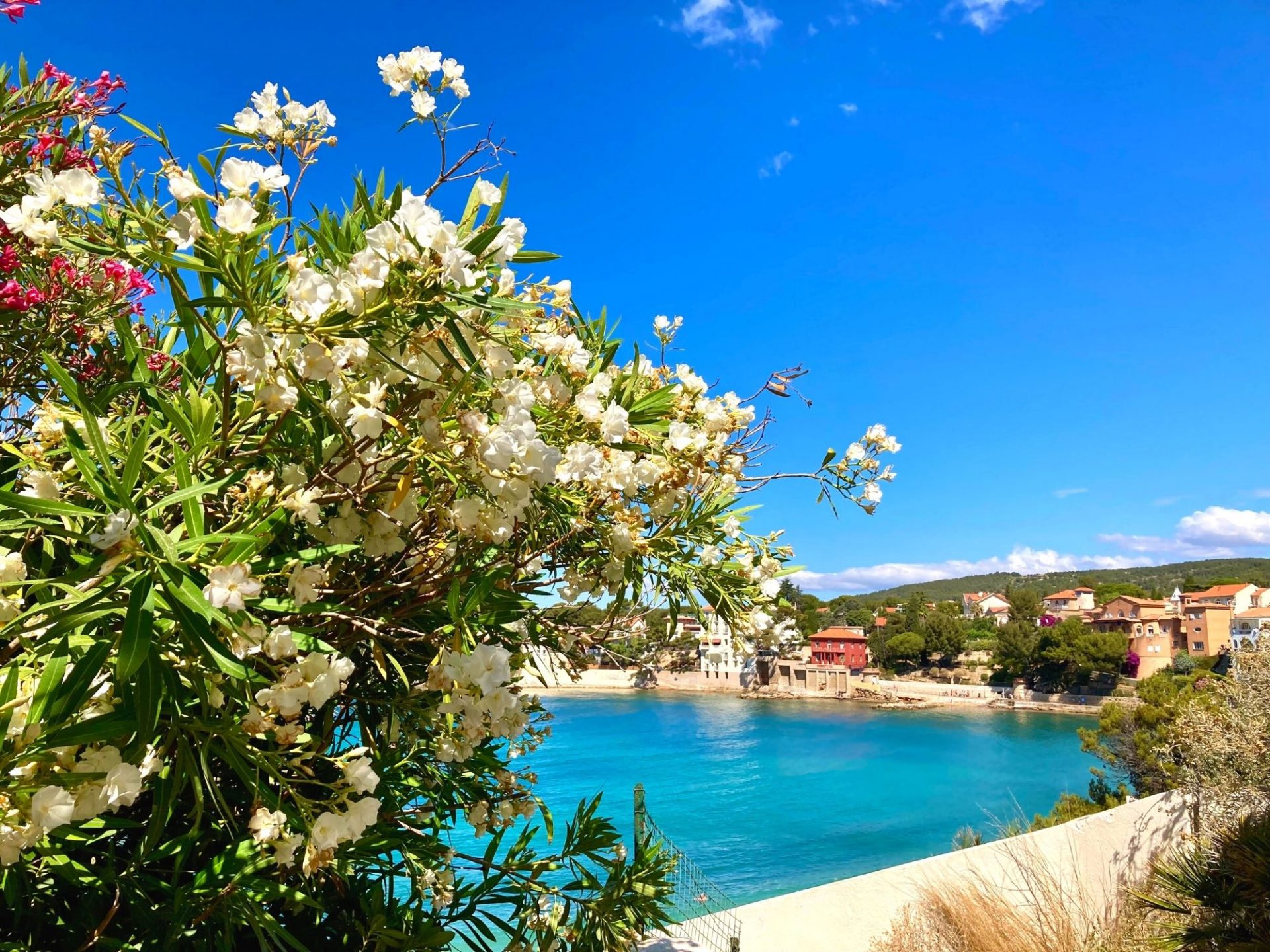 Top 10 des activités de l'été à Bandol • Bandol Tourisme