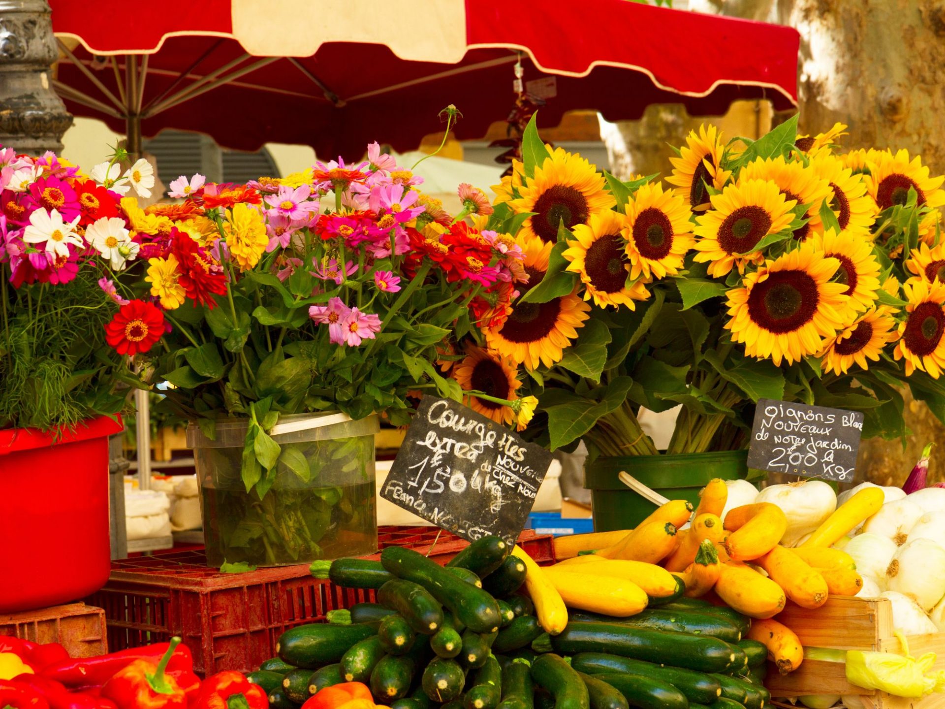 Focus on our neighbors: visit to La Cadière d’Azur • Bandol Tourisme